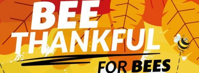 Foxfield Primary School - Bee Thankful - 28th September - Theme Day Menu